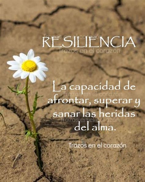 Frases De Resiliencia
