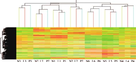hierarchical clustering analysis of all gene models based on expression download scientific