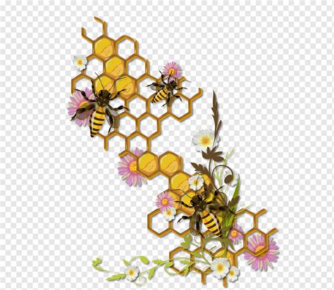Honeycomb Illustration Beehive Insect Honey Bee Bumblebee Hand