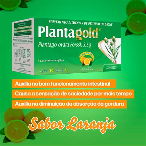 Planta Gold Plantago Ovata Psyllium em 30 Sachês Arte Nativa kit 6