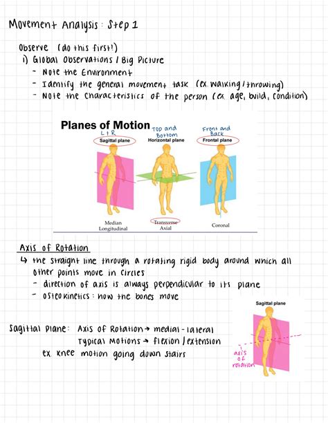Solution Movement Analysis Biomechanical Principles Joint Types