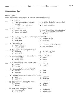 Macromolecule Quiz By Marta Dabrowska Teachers Pay Teachers