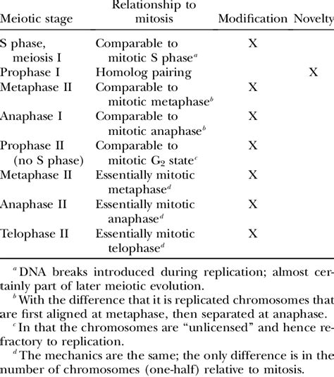 Mitosis And Meiosis Stages