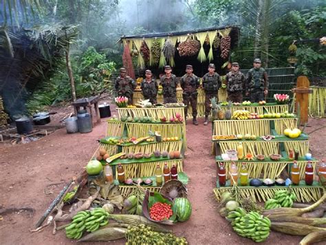 Estágio de Adaptação à Vida na Selva instrui militares sobre técnicas