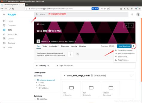 kaggle数据集的下载和使用 通过api下载 kaggle数据集没有api csdn博客