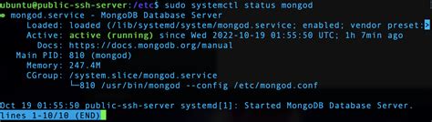 Cloud Unable To Set Remote Access To MongoDB Installed In Oracle