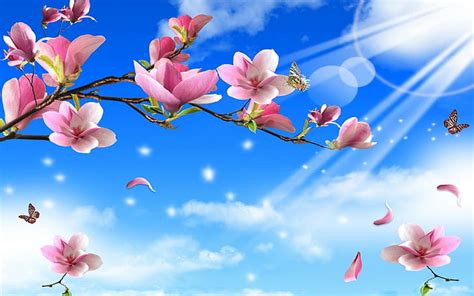 Hd Wallpaper Beautiful Butterfly Flower Nature Wallpaper Flare