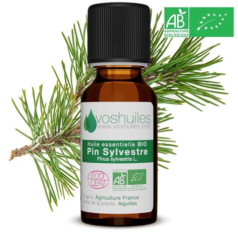 Huile Essentielle Bio De Pin Sylvestre Propri T S De L Huile