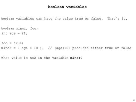 the boolean type and boolean operators ppt download
