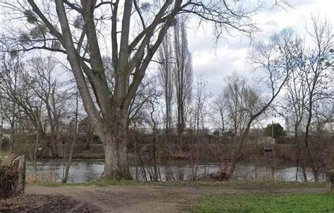 Disparition dEnzo le corps de ladolescent disparu à Strasbourg