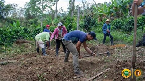 La Reforma Agraria Y La Tenencia De La Tierra En Colombia