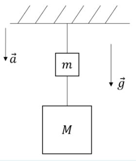 Two objects with masses 𝑚 56 kg and 𝑀 76 kg are Chegg