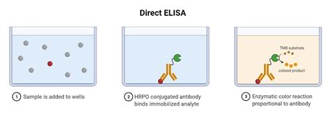 Direct Elisa