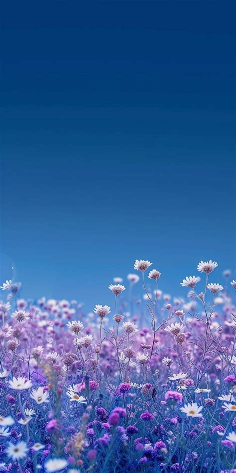 100 Free Spring Phone Wallpapers To Brighten Your Screen In 2024