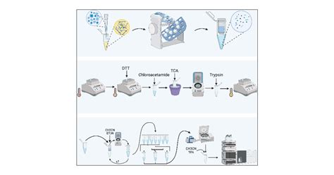 Deep Plasma Proteomics With Data Independent Acquisition Clinical