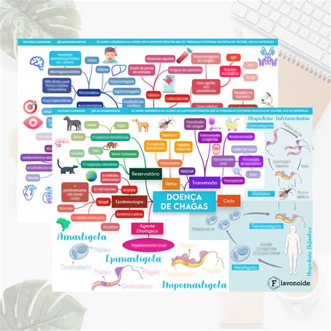 Mapa Mental Chagas Ologia Images And Photos Finder