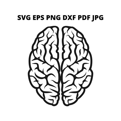 Human Brain Top Down Svg Clipart Human Brain Picture Print On Demand