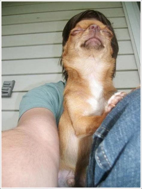 44 photos à mourir de rire parce que cest toujours bon de se marrer