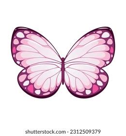Pink Butterfly On White Background Stock Vector Royalty Free