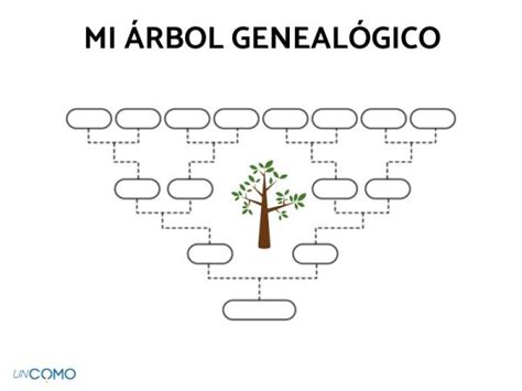 C Mo Hacer Un Rbol Geneal Gico En Word Pasos