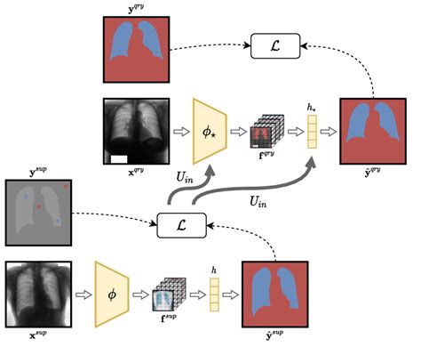 graphical illustration of one inner loop iteration for gradient based download scientific