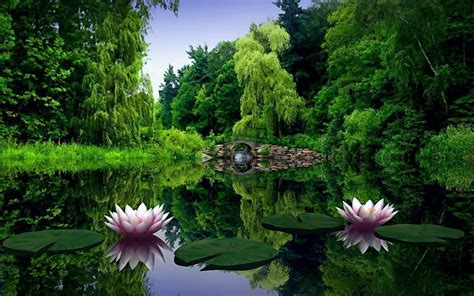 Lake Forest Wallpapers HD Desktop And Mobile Backgrounds