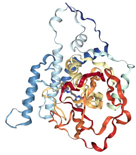 PARP3 Protein Overview Sino Biological
