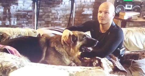 Поделки на сериал пес 80 фото порно и эротика HuivPizde
