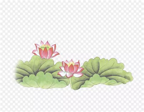 手绘莲花PNG图片素材下载 图片编号7551254 PNG素材网