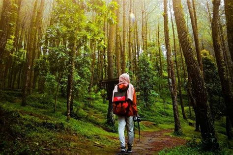 5 Wisata Hits Di Magelang Selain Borobudur