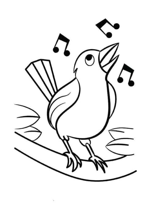 Passarinho Para Colorir Desenhos Lindos Para Imprimir