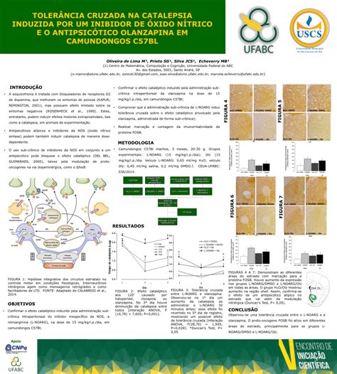 PDF Poster Presented At The UFABC 5th Scientific Initiation Meeting