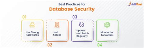 What Is Database Security Types Threats And Best Practices