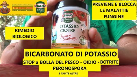 Cos è il BICARBONATO DI POTASSIO Rimedio bio ad ampio spettro contro