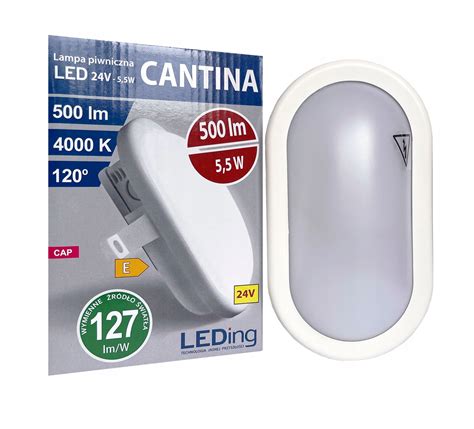 Lampa Do Piwnicy Niska Cena Na Allegro Pl
