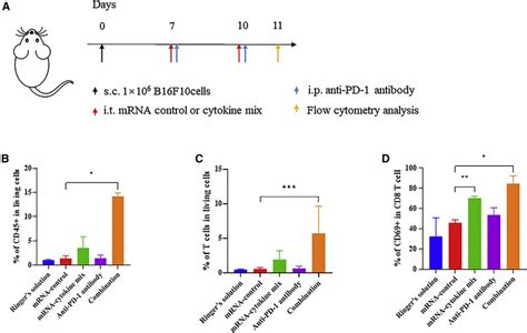 Analysis Of The Immune Modulation By Intratumorally Delivered Cmrna In