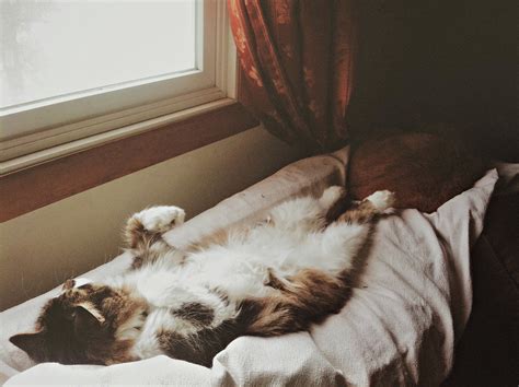 Tu T Es Vu Quand T As Bu La Colette Happy Furry Fr Flickr