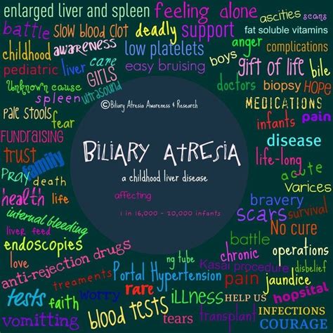 Biliary Atresia Awareness And Research Life Coach Certification Top