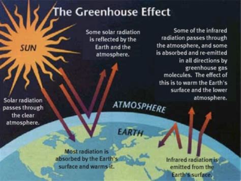 Climate Change Flashcards Quizlet