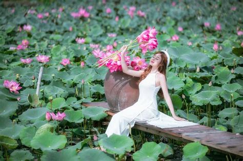 Chi tiết 88 về hình chụp sen hay nhất coedo vn