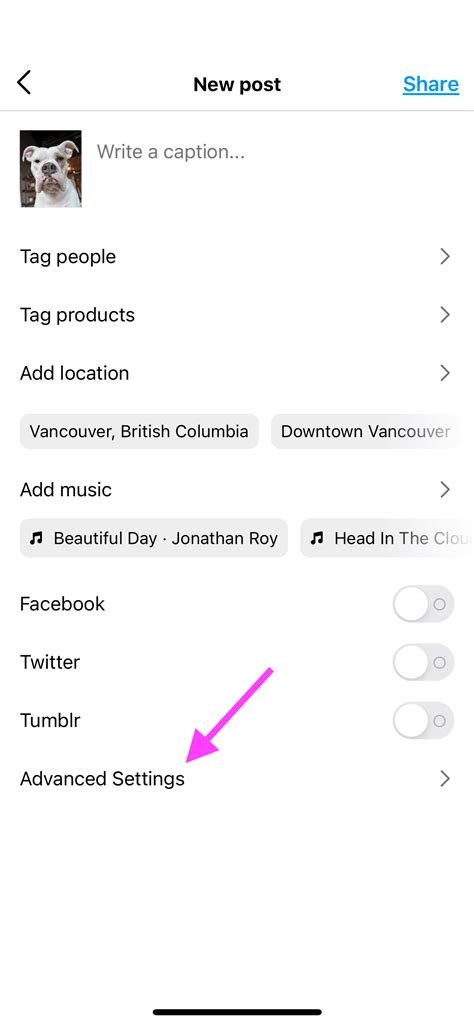 Why Instagram Alt Text Matters And How To Use It Vii Digital