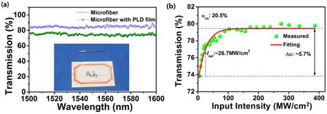 Measured Linear Absorption Inset Was TISA Packaged By Heatshrink