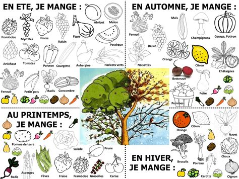 Le calendrier des fruits et légumes de saison à colorier Coloriage