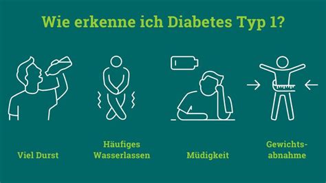 Skulptur Unterlassen Sie Jetzt Diabetiker Typ 1 Quagga Speziell Lyrisch