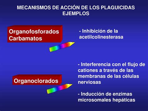 PPT ASPECTOS GENERALES DE LOS PLAGUICIDAS PowerPoint Presentation