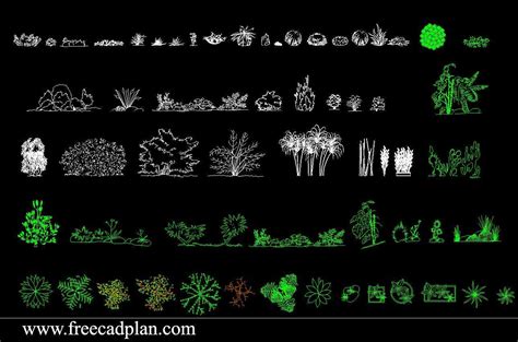 Arbustos Bloque CAD DWG En Atuocad Descargar Free Cad Plan