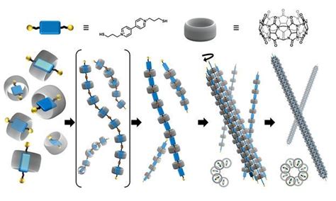 Hierarchical Self Assembly Of IMAGE EurekAlert Science News Releases