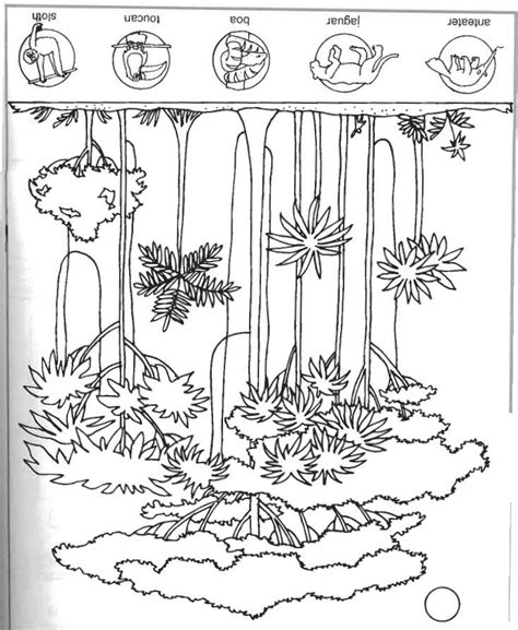 Bosque 157251 Naturaleza Dibujos Para Colorear E Imprimir Gratis