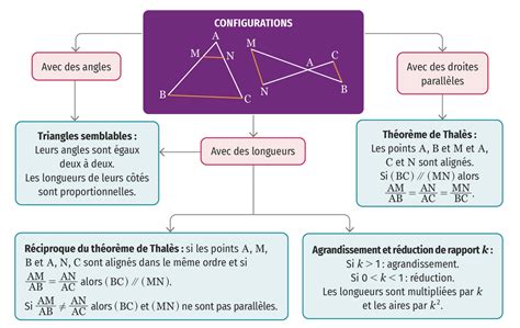 Révision Lelivrescolaire fr