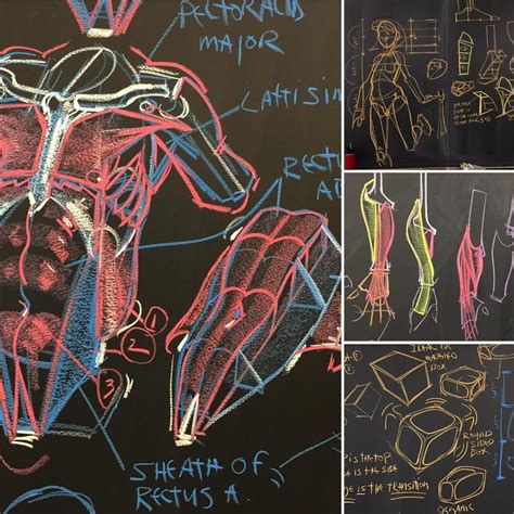 Drawing Male Anatomy Anatomy Study Body Anatomy Anatomy Art Drawing